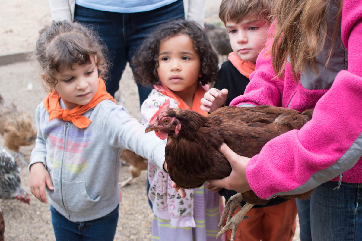 About Us | Pacific Primary School
